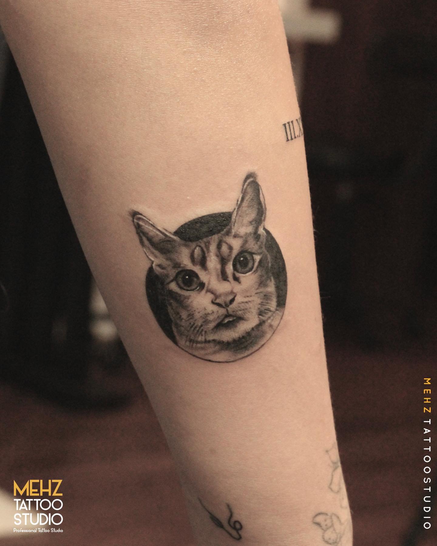 20 Unique Cat Tattoo Design Ideas for Men and Women